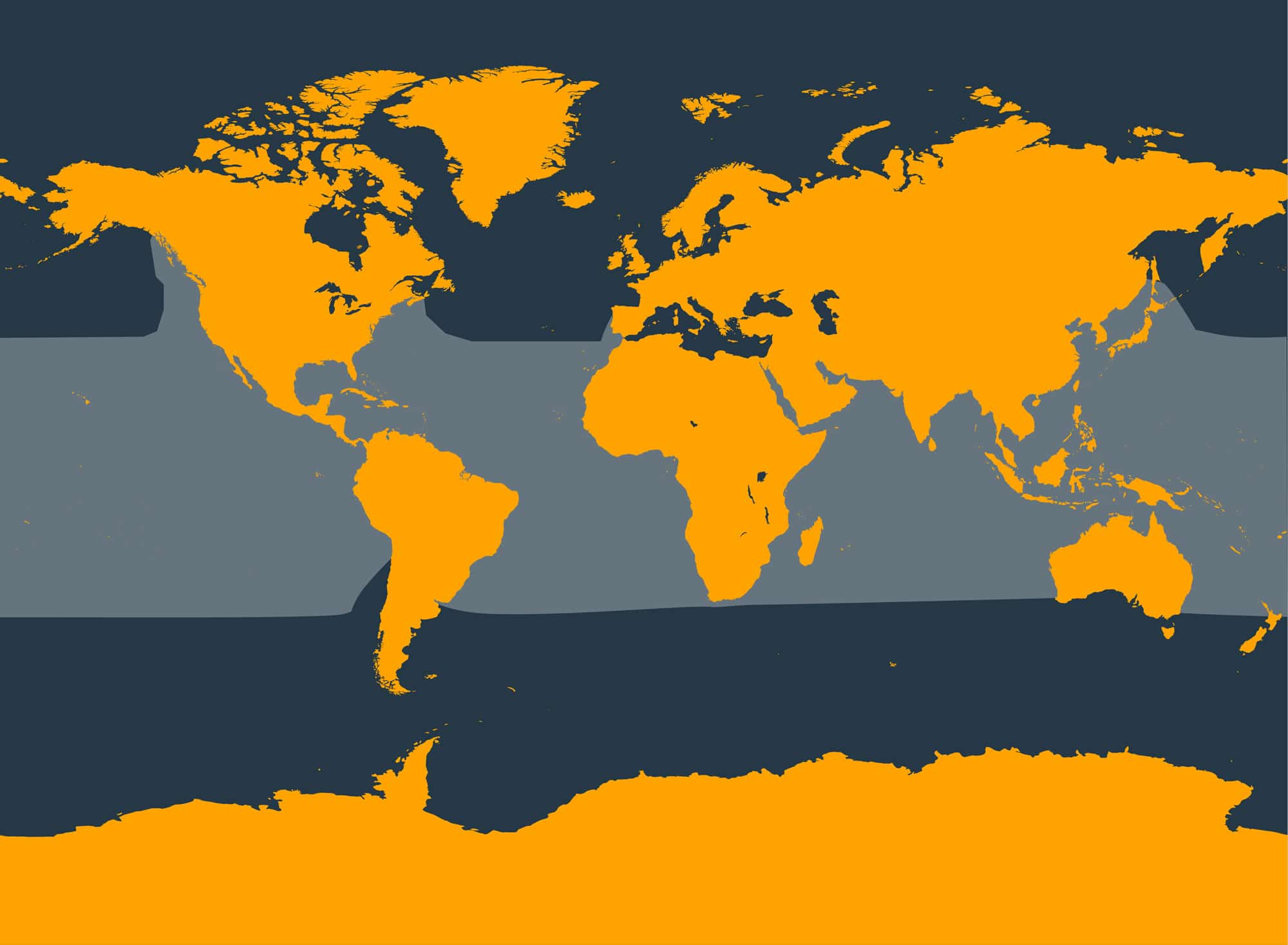 short-finned-pilot-whale-whale-dolphin-conservation-australia